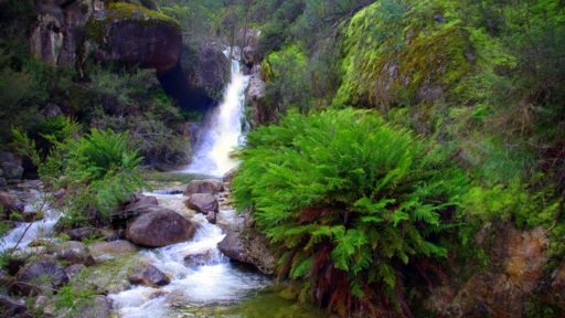 Alpine National Park in Bright, Victoria