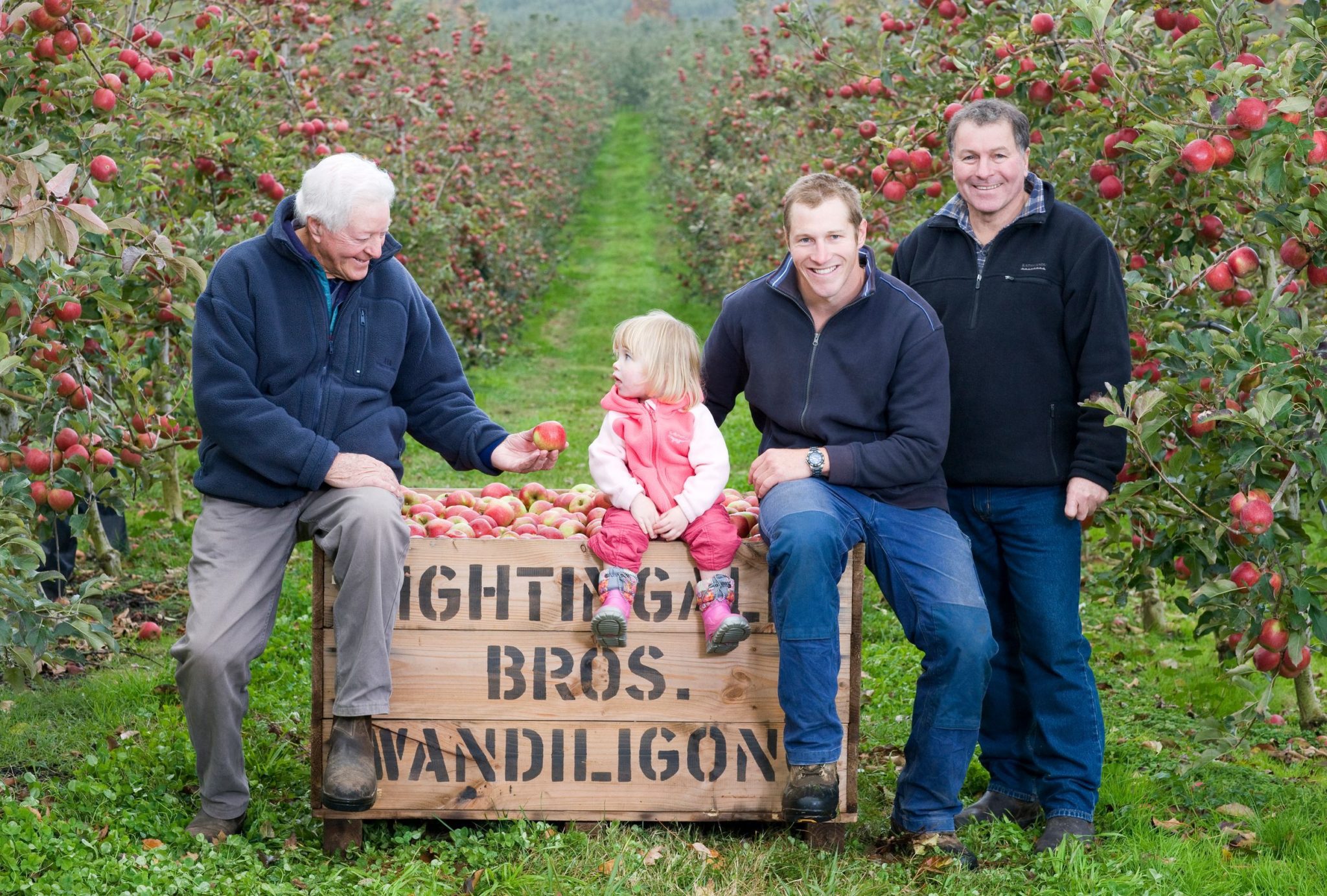 Restaurants and Cafes to eat at in Bright, Victoria