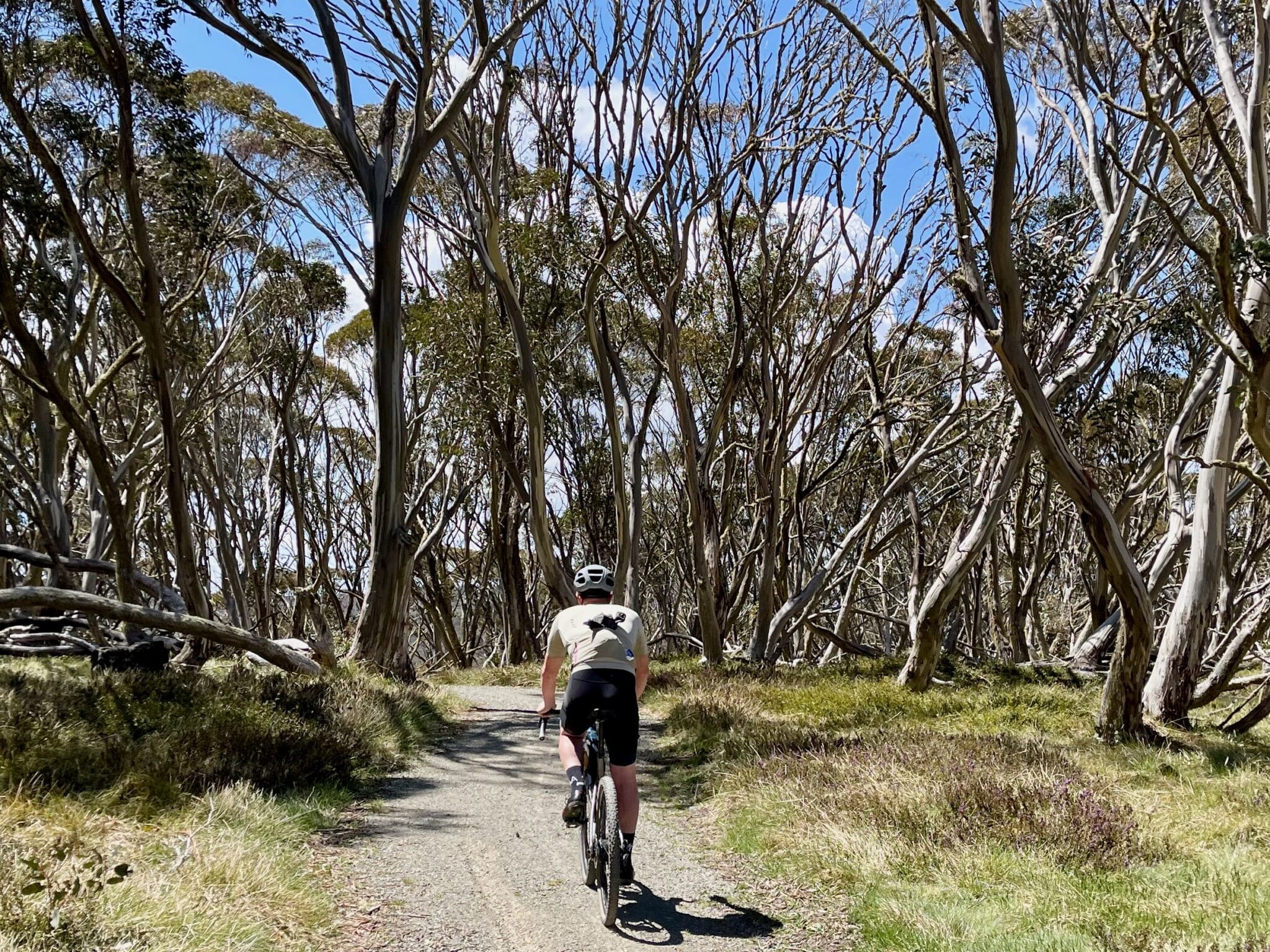 Historic High Country Huts in Bright & Surrounds, Victoria