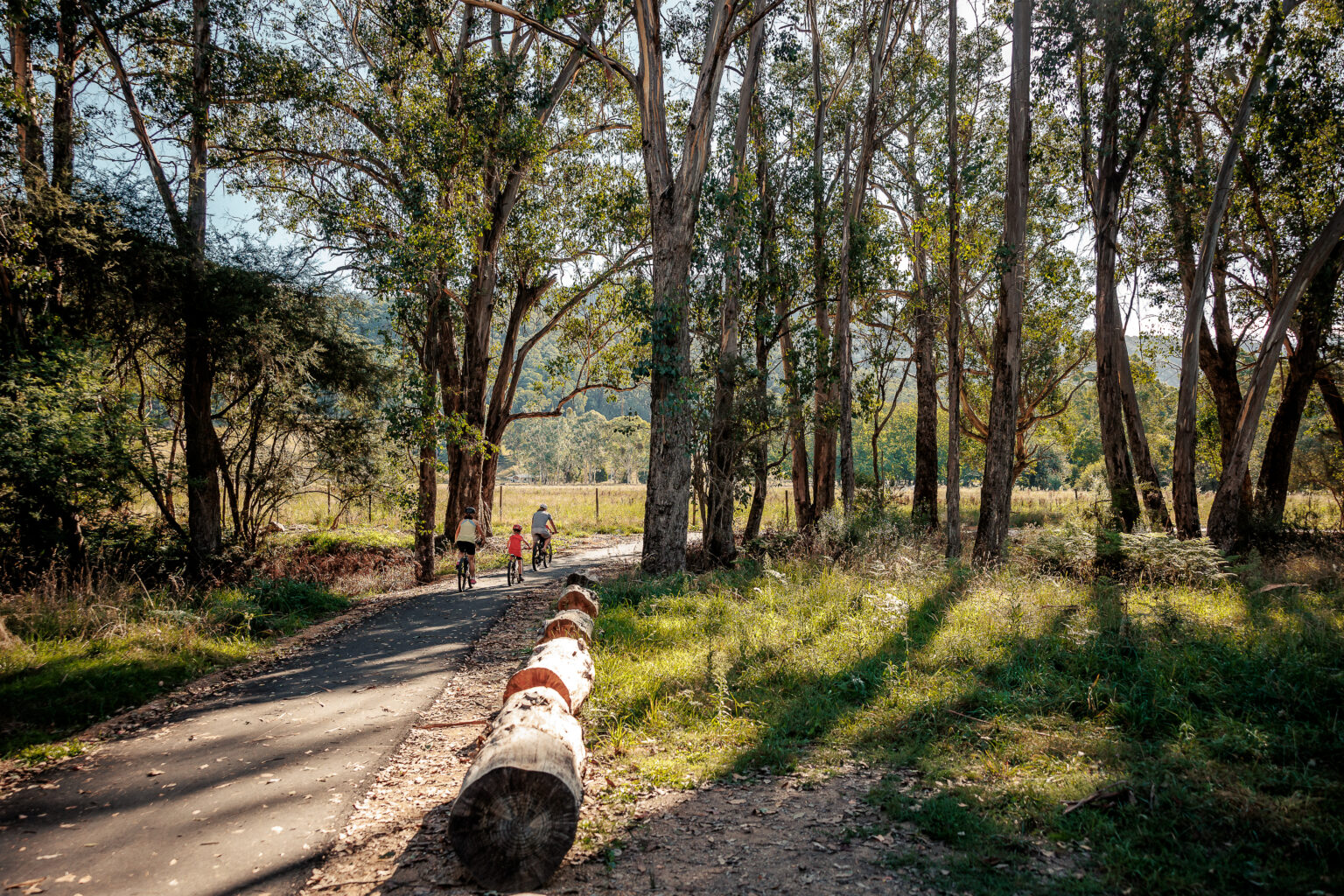 Cycle the Murray to Mountains Rail Trail in Bright, Victoria