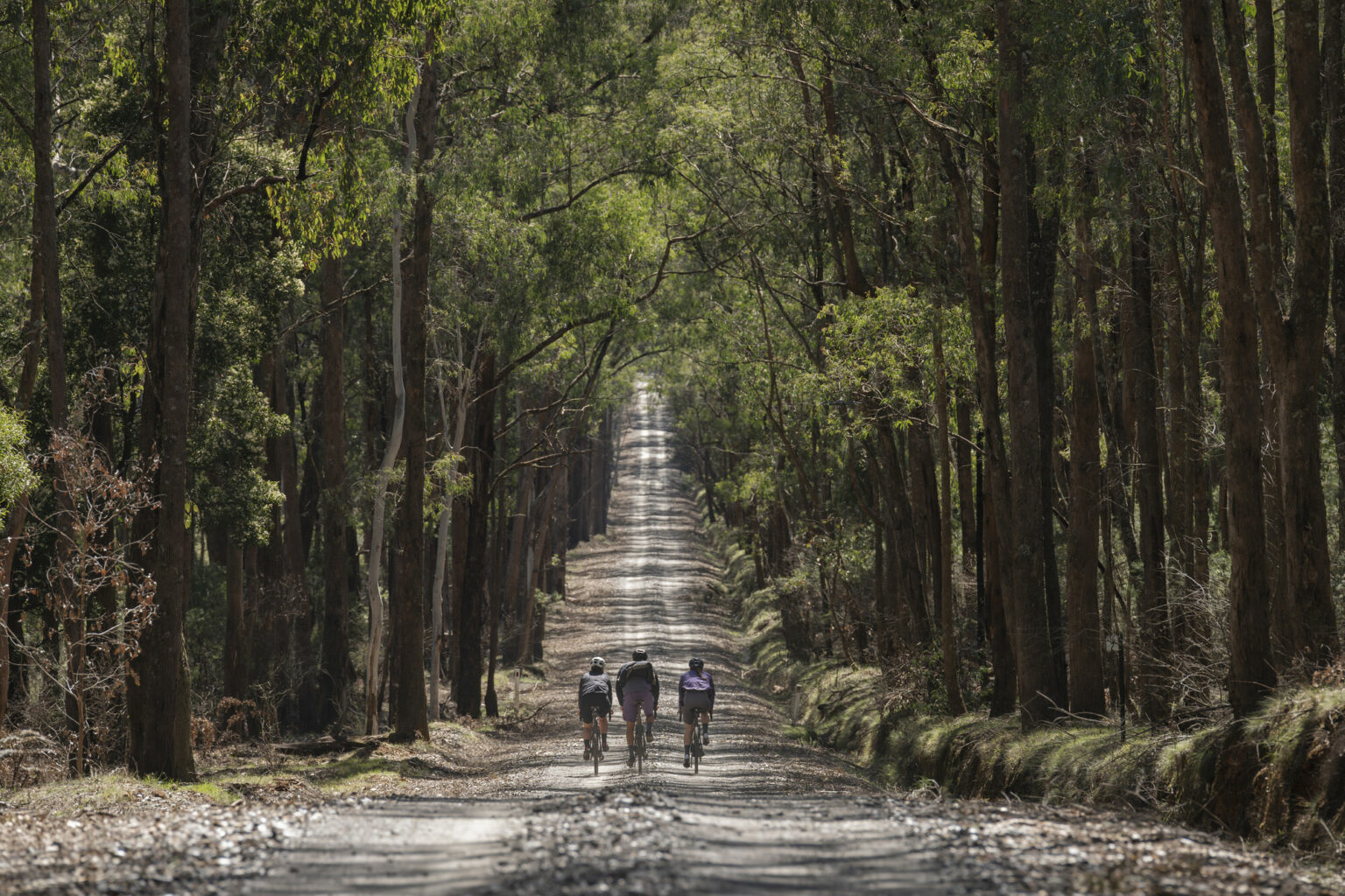 Historic High Country Huts in Bright & Surrounds, Victoria