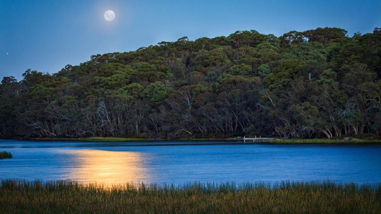 The best places to take scenic photos in Bright & Surrounds, Victoria