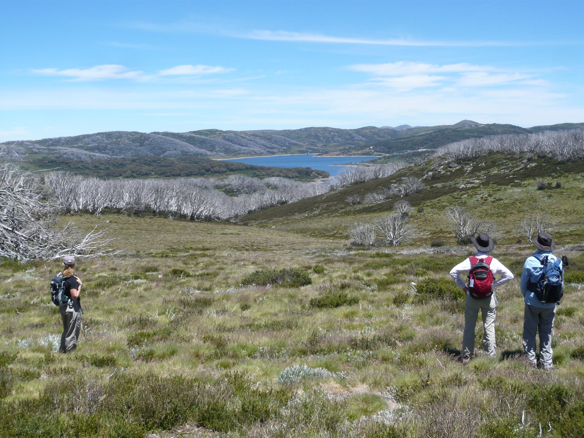 The best lookouts and views in Bright & Surrounds, Victoria