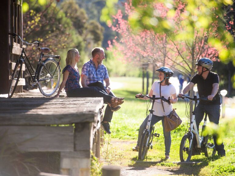 Cycle the Murray to Mountains Rail Trail in Bright, Victoria