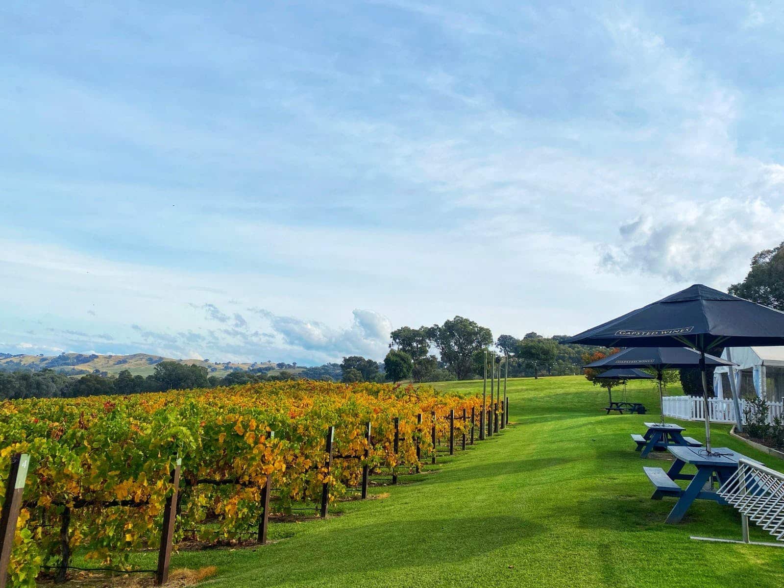 Cellar Doors and Wine Bars of the Alpine Valleys in Bright, Victoria