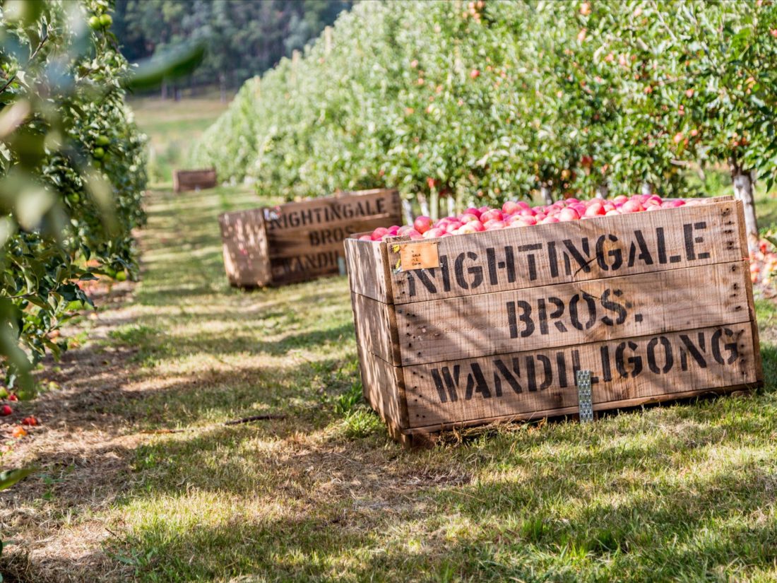 Farm gates with fresh local produce in Bright, Victoria