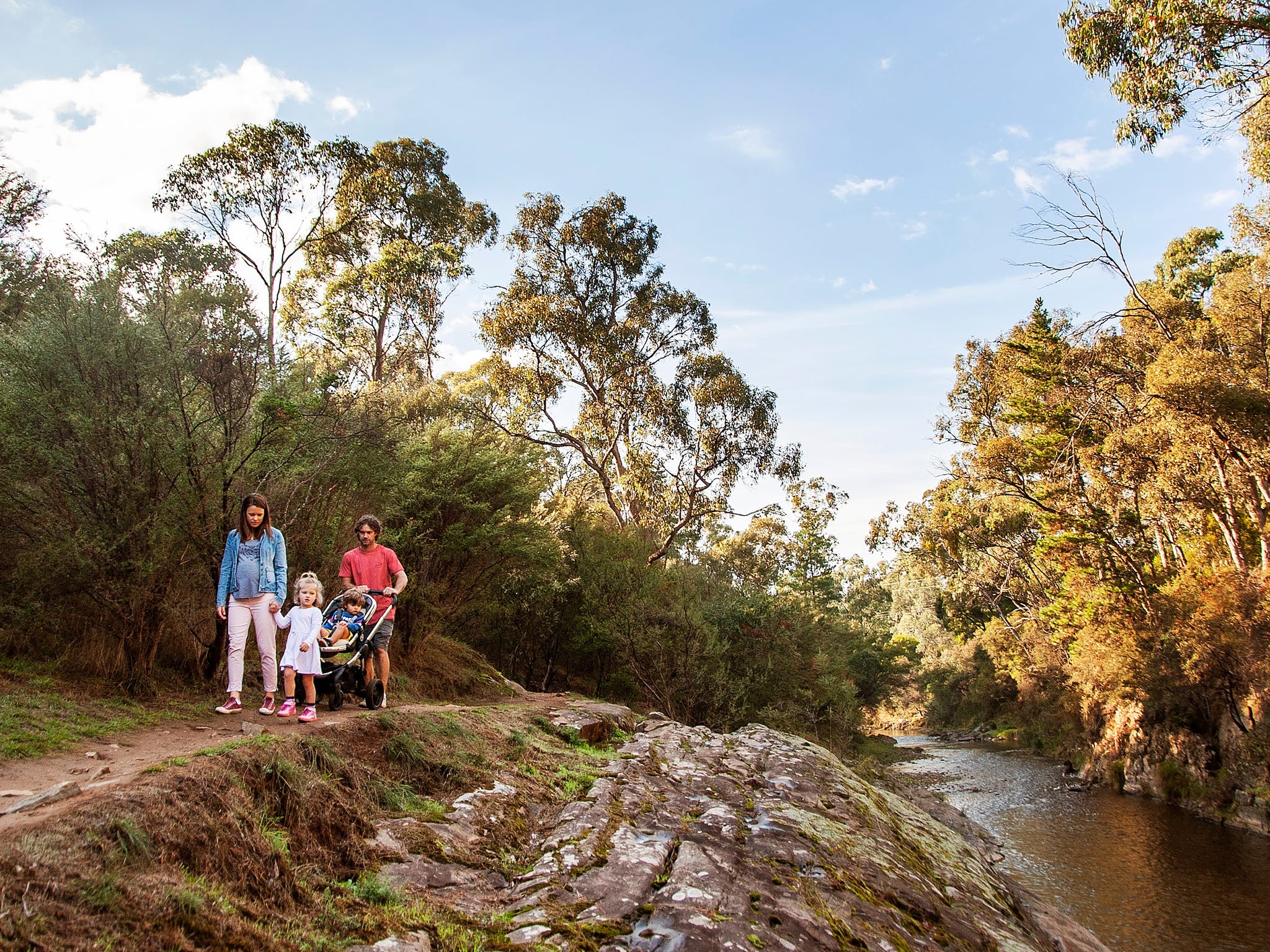 Short walks, day walks and hiking trails in Bright, Victoria