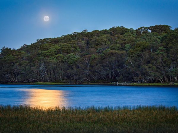 Mount Buffalo National Park in Bright & Surrounds, Victoria
