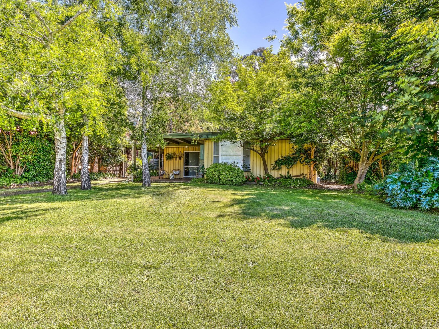 Visit the Buckland Valley in Bright & Surrounds, Victoria