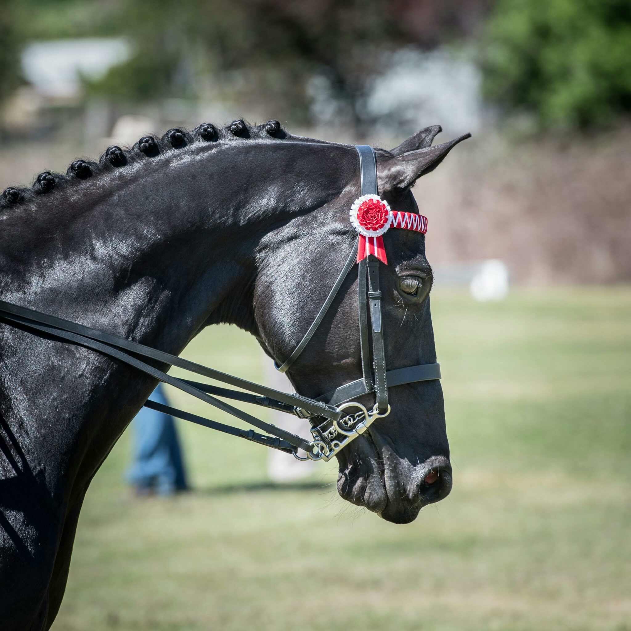 The best time of year to visit Bright & Surrounds, Victoria