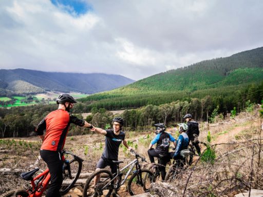 How to get to Bright and its surrounding towns in Victoria