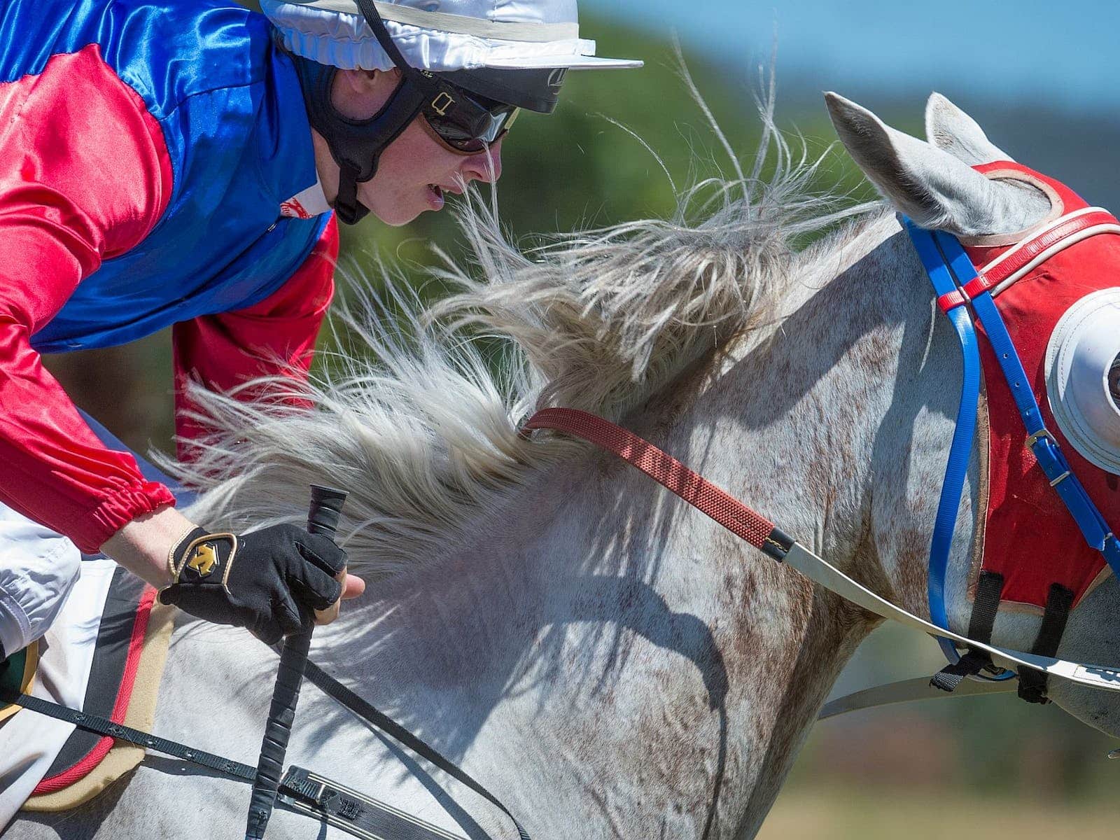 The best time of year to visit Bright & Surrounds, Victoria