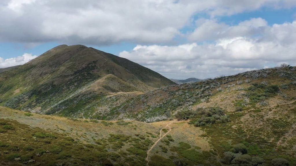Alpine National Park in Bright & Surrounds, Victoria