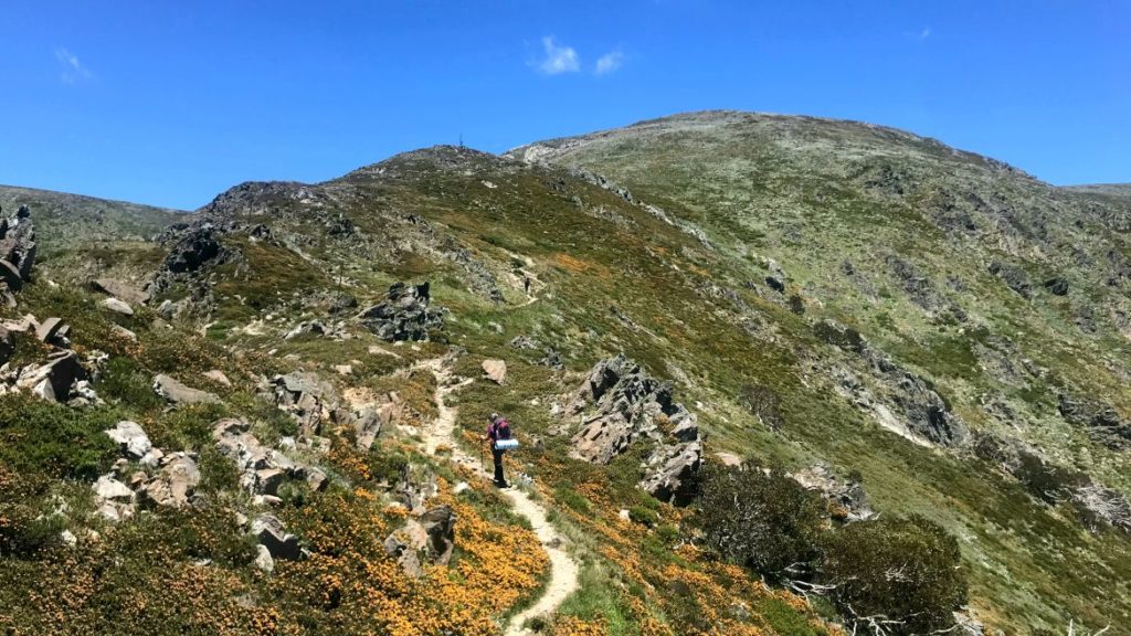 Alpine National Park in Bright & Surrounds, Victoria