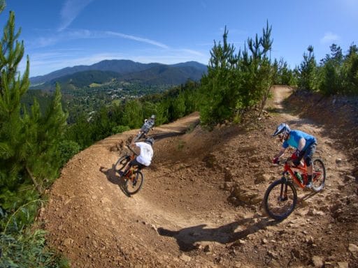 Breweries and distilleries in Bright & Surrounds, Victoria