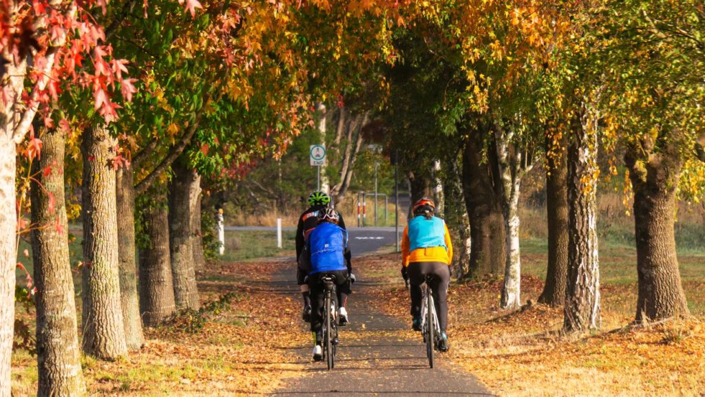 Cycle the Murray to Mountains Rail Trail in Bright, Victoria