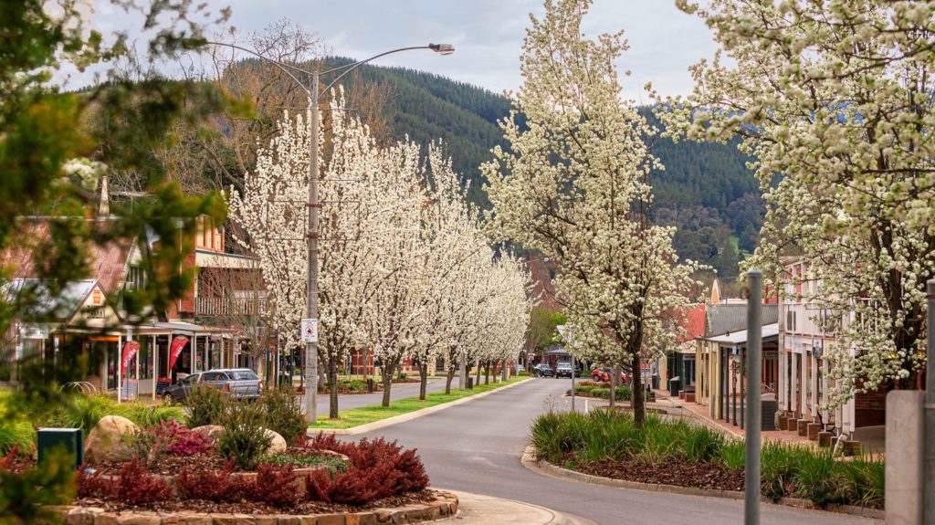 The best time of year to visit Bright & Surrounds, Victoria